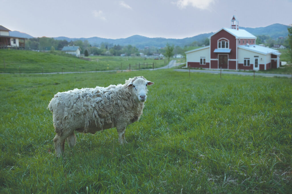 Breaking Ground At Wears Valley Ranch - Farragut Life
